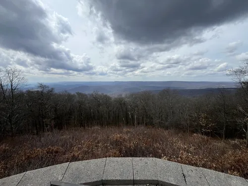 Best Hikes and Trails in Blue Knob State Park | AllTrails
