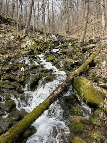Best Views Trails in Blue Knob State Park | AllTrails
