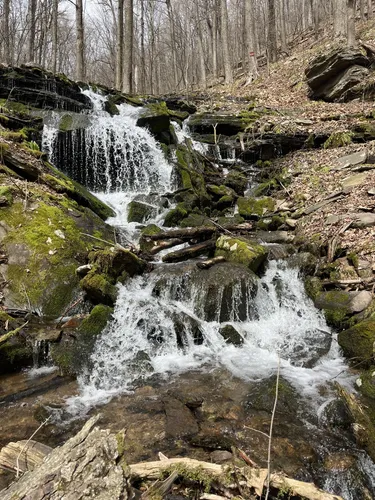 Best Views Trails in Blue Knob State Park | AllTrails