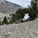 Beaver Ponds Loop Trail, Montana - 1,147 Reviews, Map | AllTrails