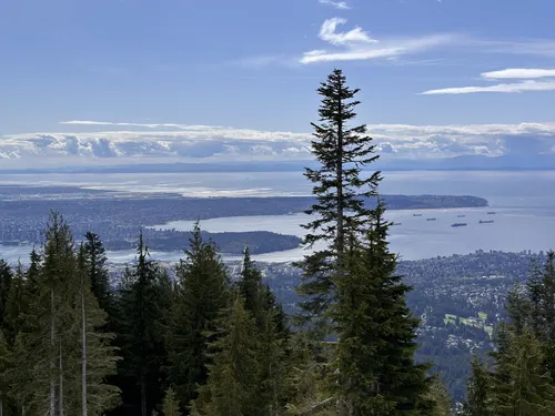 Best Lake Trails in Lynn Headwaters Regional Park | AllTrails