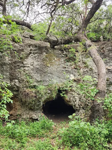 Best Wheelchair Friendly Trails in Stone Oak Park | AllTrails