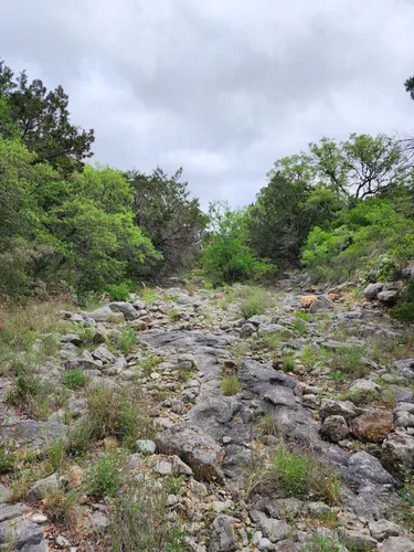 Best Wheelchair Friendly Trails in Stone Oak Park | AllTrails