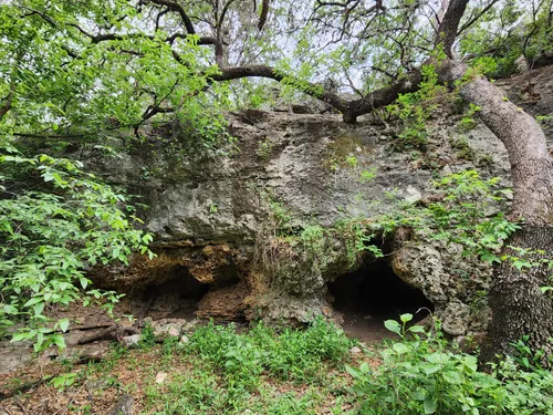 Best Wheelchair Friendly Trails in Stone Oak Park | AllTrails