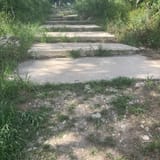 Cibolo Creek Main Trail, Texas - 667 Reviews, Map | AllTrails