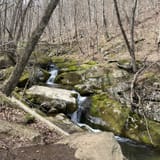Rose River Trail, Virginia - 4,482 Reviews, Map | AllTrails