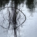 Lord Hill, Main Trail, and Temple Pond Loop Trail, Washington - 1,453 ...