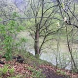 Green River Bluff, Echo River Springs, Sinkhole and Heritage Trail ...