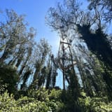 Twin Peaks and Mount Sutro Loop, California - 628 Reviews, Map | AllTrails