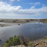 Copalis River Spit Trail, Washington - 180 Reviews, Map | AllTrails