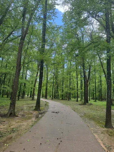 Best Hikes and Trails in Paul G Boorman Trail Park | AllTrails