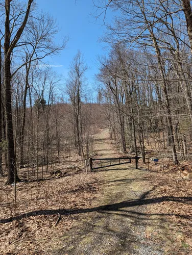Best Hikes and Trails in East Otis | AllTrails