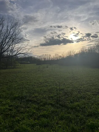 Best Moderate Trails in Kickapoo State Park | AllTrails