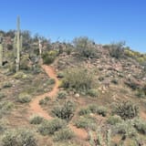 Coon Bluff Trail, Arizona - 775 Reviews, Map | AllTrails