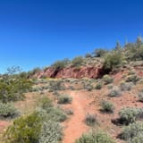 Coon Bluff Trail, Arizona - 775 Reviews, Map | AllTrails