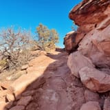Needles Overlook Trail, Utah - 75 Reviews, Map | AllTrails