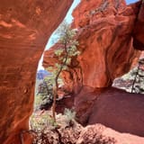 Gordon’s Ridge via Boynton Canyon Trail, Arizona - 10,509 Reviews, Map ...
