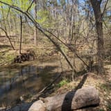 Sycamore Trail Loop, North Carolina - 1,675 Reviews, Map | AllTrails