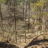 Sycamore Trail Loop, North Carolina - 1,675 Reviews, Map | AllTrails