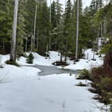 Mink Lake, Washington - 210 Reviews, Map | AllTrails
