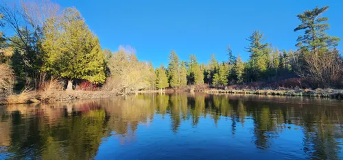 Best Camping Trails in Grayling | AllTrails