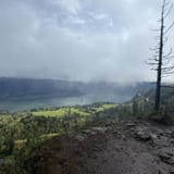 Cape Horn Loop Trail, Washington - 4,396 Reviews, Map | AllTrails