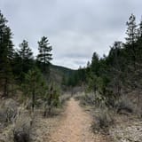 Chamisa Trail, New Mexico - 1,386 Reviews, Map | AllTrails