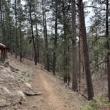 Chamisa Trail, New Mexico - 1,386 Reviews, Map | AllTrails