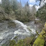Beaver Falls, Washington - 283 Reviews, Map | AllTrails