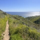 Corral Canyon Loop, California - 1,747 Reviews, Map | AllTrails