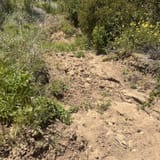 Corral Canyon Loop, California - 1,747 Reviews, Map | AllTrails