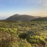 Slacker Hill Trail, California - 409 Reviews, Map | AllTrails