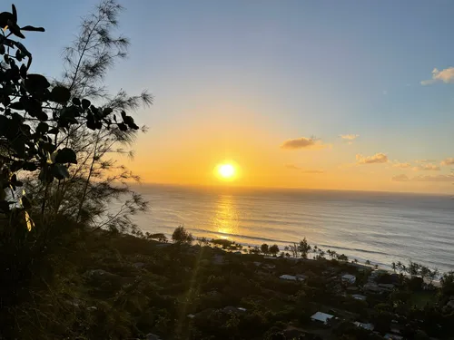 Best Forest Trails in Pupukea Paumalu Forest Reserve | AllTrails