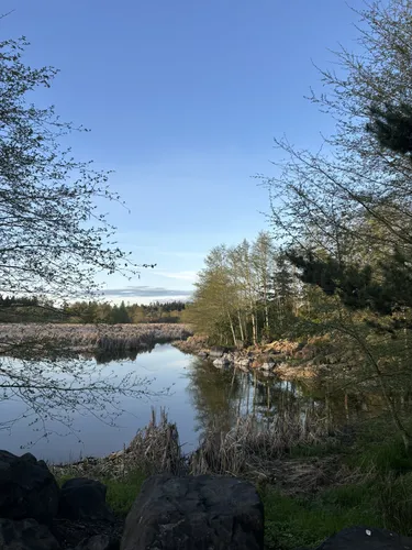 Best Hikes and Trails in Talking Water Gardens | AllTrails