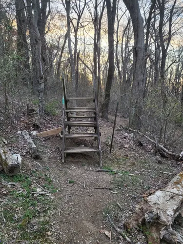 Best Views Trails in Woolwine | AllTrails