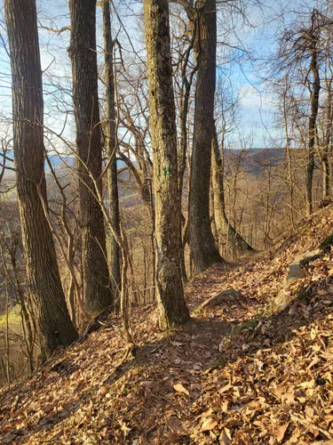 Best Views Trails in Woolwine | AllTrails