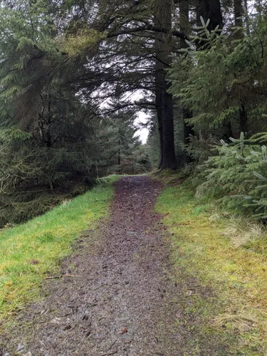 Best Hikes and Trails in Hafod Elwy National Nature Reserve | AllTrails