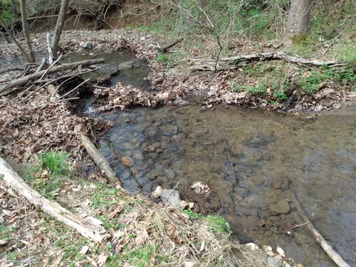 Best Hikes and Trails in Short Hills Wildlife Management Area | AllTrails