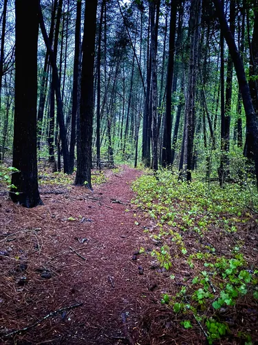 Best Hikes and Trails in Little Ridge Park | AllTrails