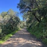 Clementine Trail to Lake Clementine, California - 4,394 Reviews, Map ...