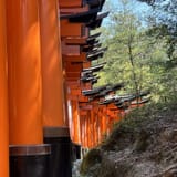 Fushimi Inari Walking Tour, Kyoto, Japan - 689 Reviews, Map | AllTrails