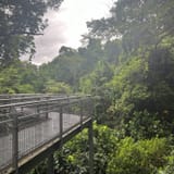 Southern Ridges and Labrador Park Loop, Central, Singapore - 352 ...