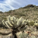 Dixie Summit Trail, Arizona - 1,534 Reviews, Map | AllTrails