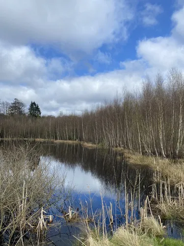 Best Lake Trails in Frederiksdal Skov | AllTrails