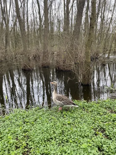 Best Hikes and Trails in Frederiksdal Skov | AllTrails