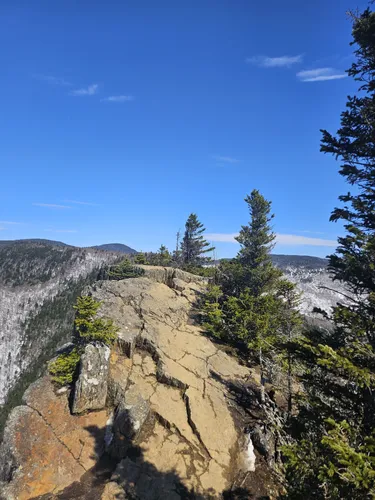 Best Snowshoeing Trails in Colebrook | AllTrails