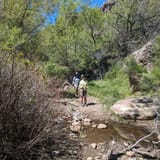 Picketpost Loop via Arizona Trail and L.O.S.T Trail, Arizona - 1,483 ...