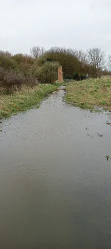 Best Trails, Walks, and Paths in Amble | AllTrails