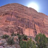 Syncline Loop, Utah - 1,004 Reviews, Map | AllTrails