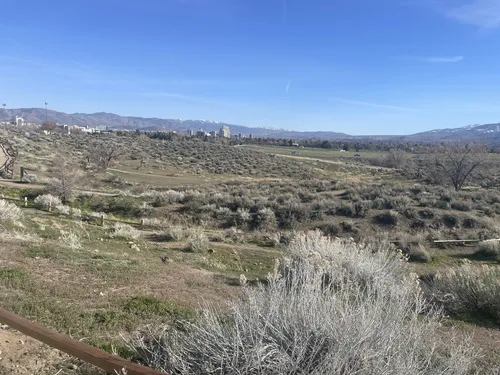 Best Hikes and Trails in Rancho San Rafael Regional Park | AllTrails